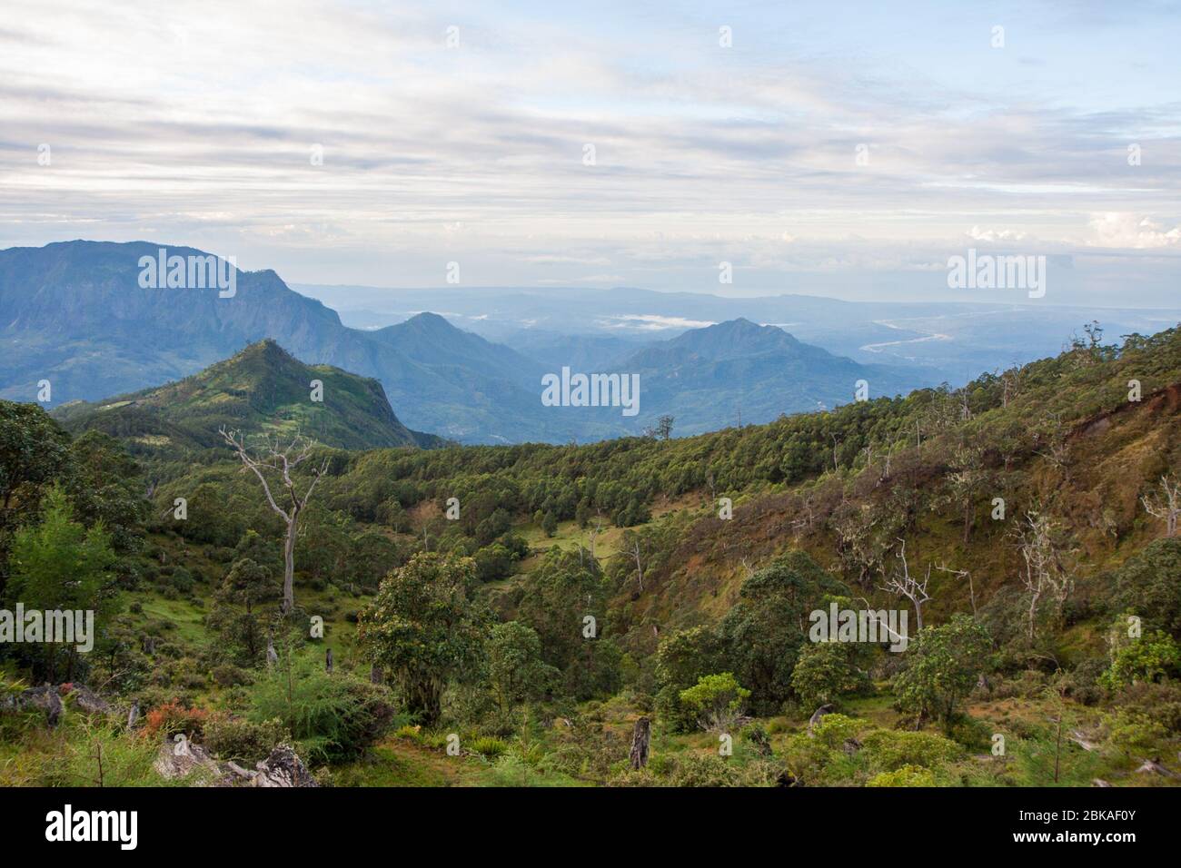 República de timor leste hi-res stock photography and images - Alamy
