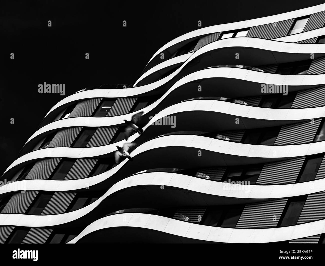 Horizontal image building facade Black and White Stock Photos & Images - Alamy