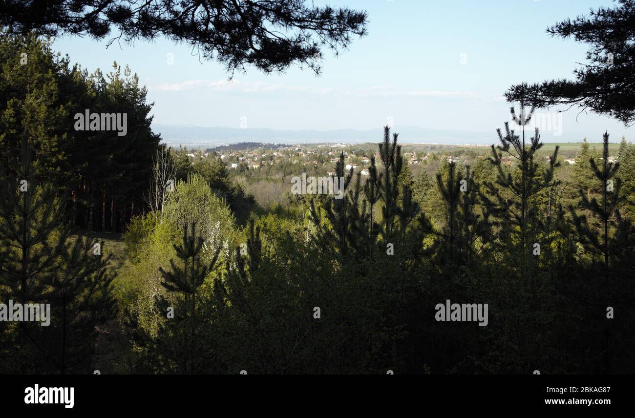 Panorama view over forest hi-res stock photography and images - Alamy