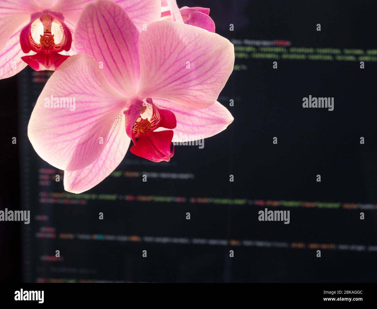 Spring season html hi-res stock photography and images - Alamy