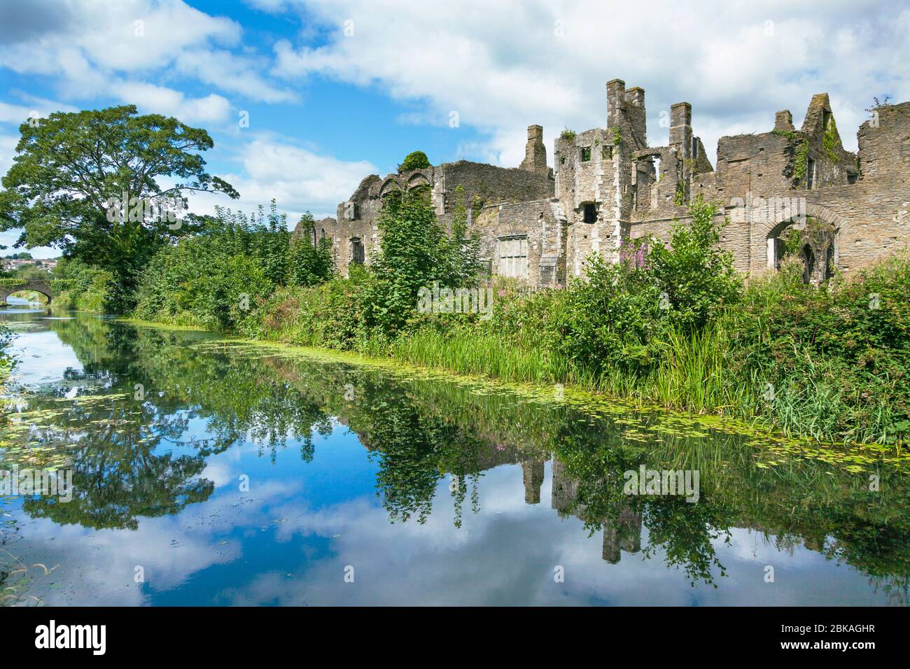 Neath Abbey High Resolution Stock Photography and Images - Alamy
