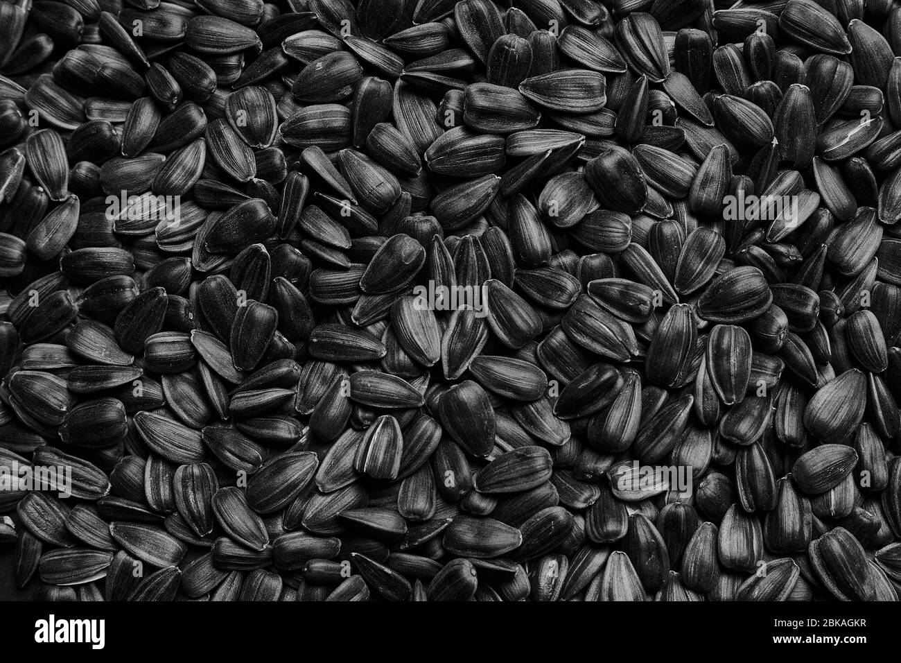 Sunflower seed texture background. Seeds in a black shell, pattern ...