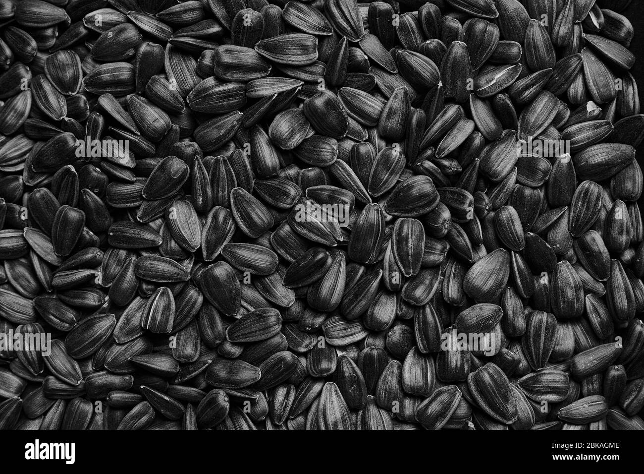 Sunflower seed texture background. Seeds in a black shell, pattern ...