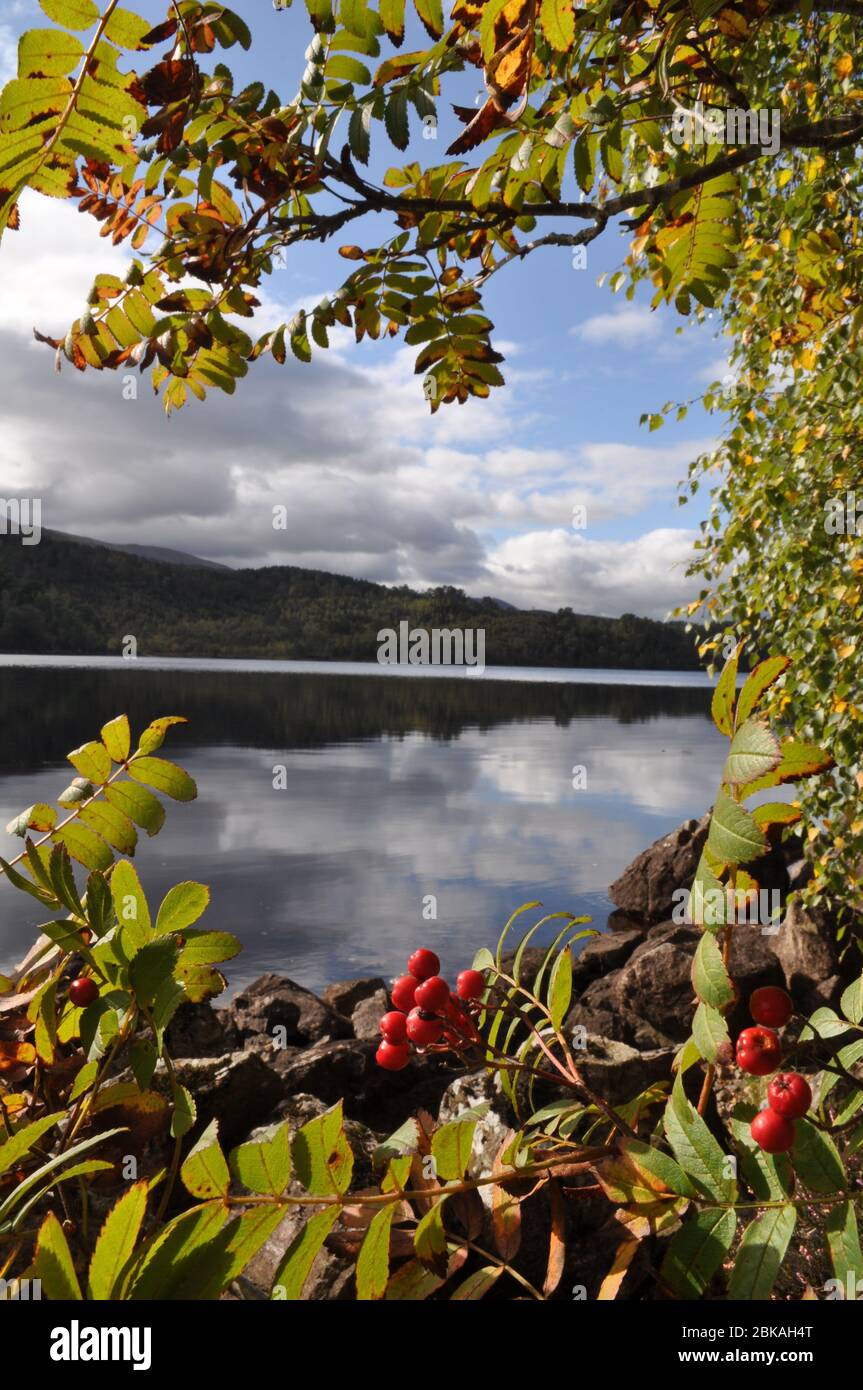 Reflections in Loch Garry, Near Invergarry, Scotland Stock Photo - Alamy
