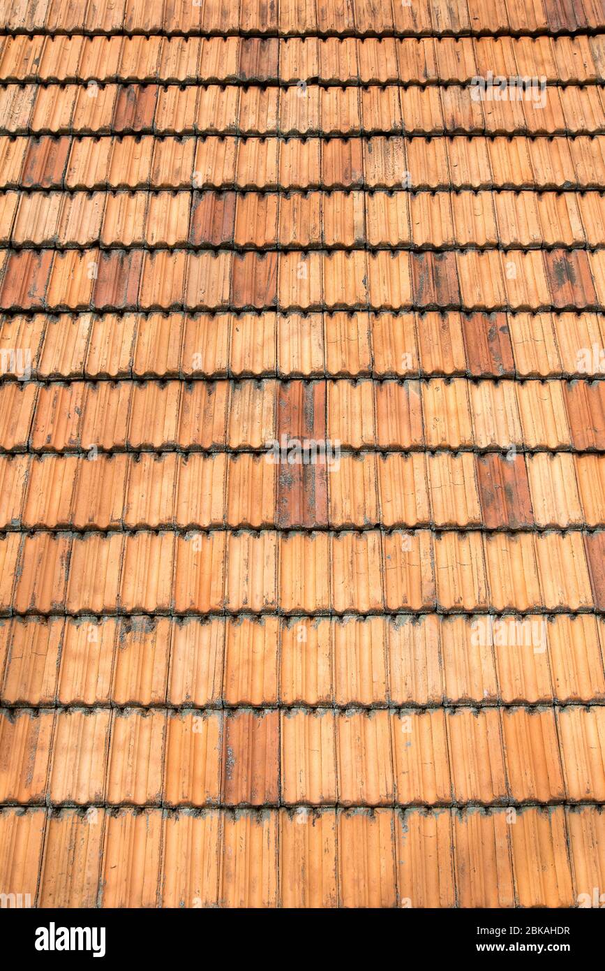 shingles orange roof Stock Photo - Alamy