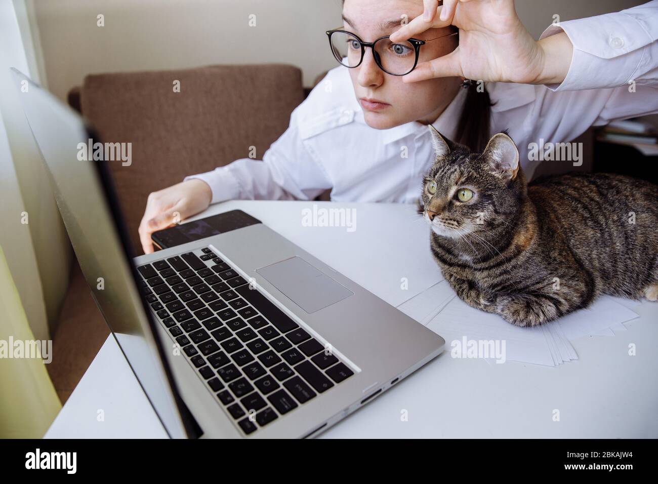 A girl in stylish glasses and a white shirt and a striped cat look at ...