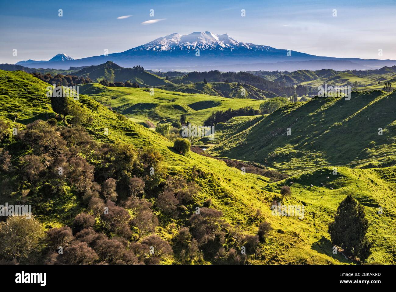 Rolling terrain hi-res stock photography and images - Alamy