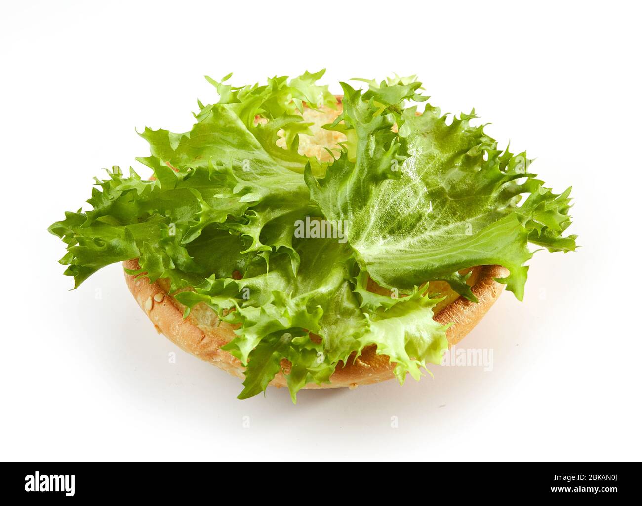 toasted bread with lettuce for making burger isolated on white ...