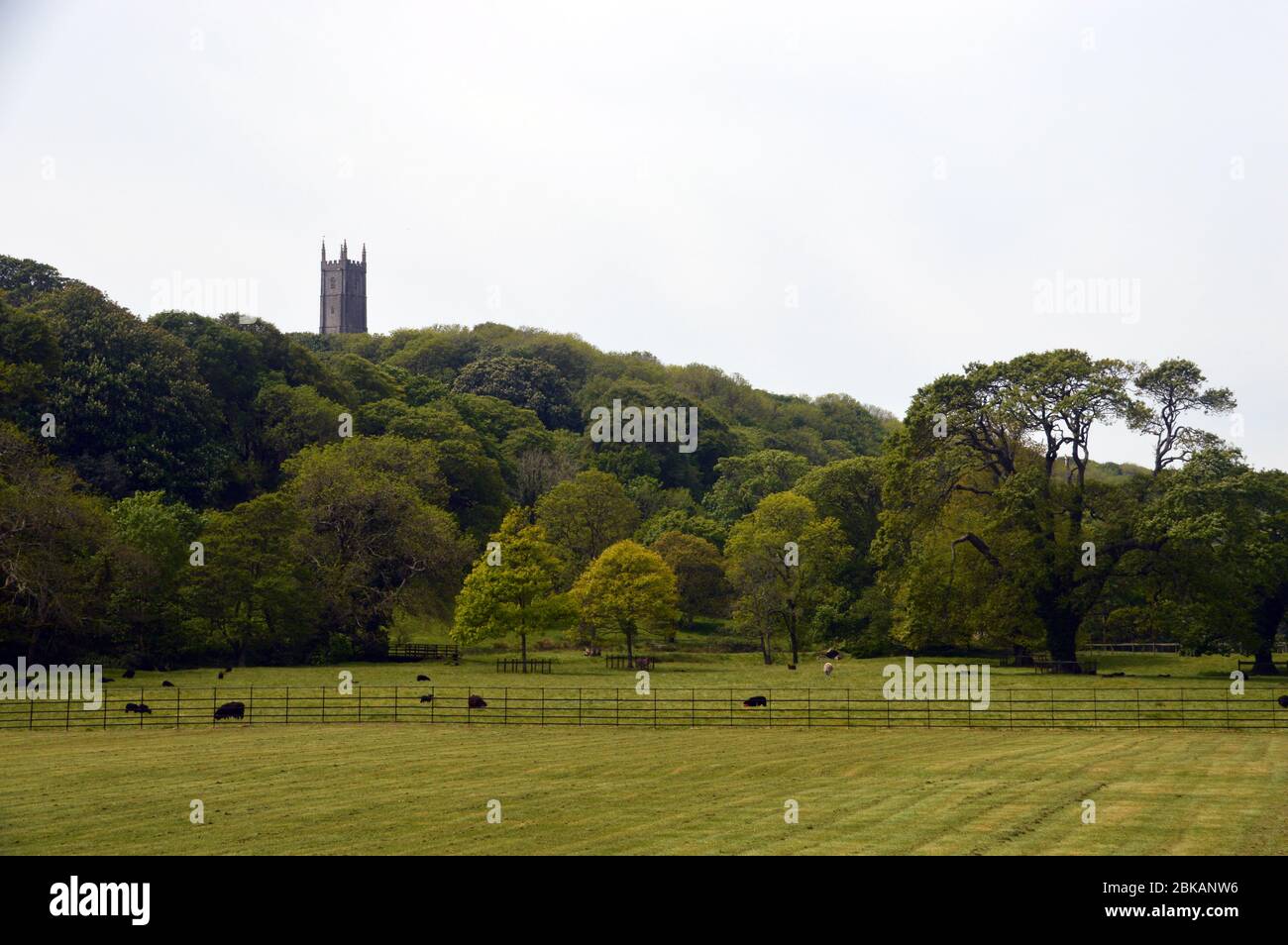 The Tall Square Stone Bell Tower of St Nectans Parish Church in the ...