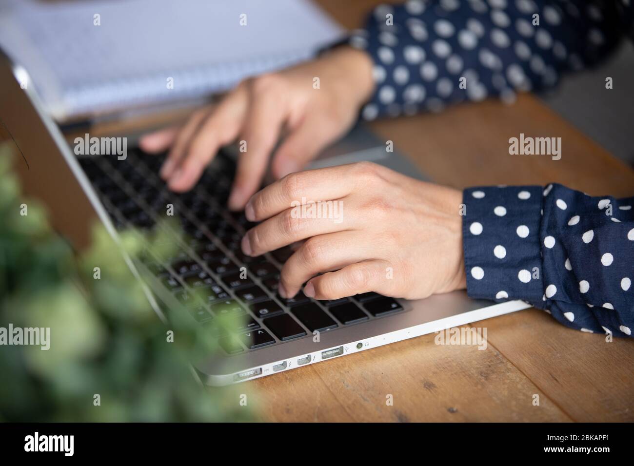 Computer writing program hi-res stock photography and images - Alamy
