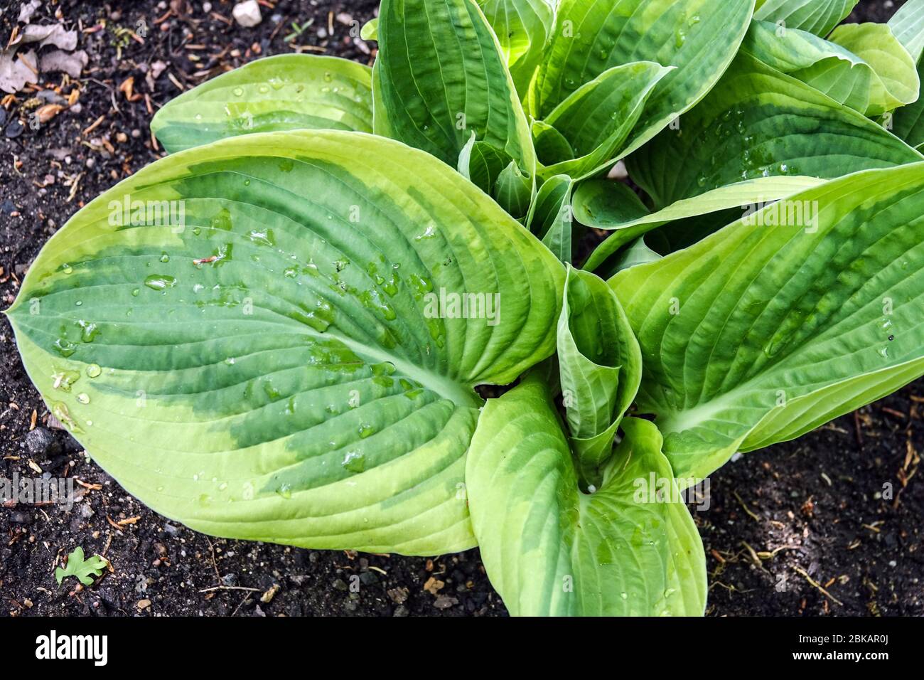 Hampshire county hi-res stock photography and images - Alamy