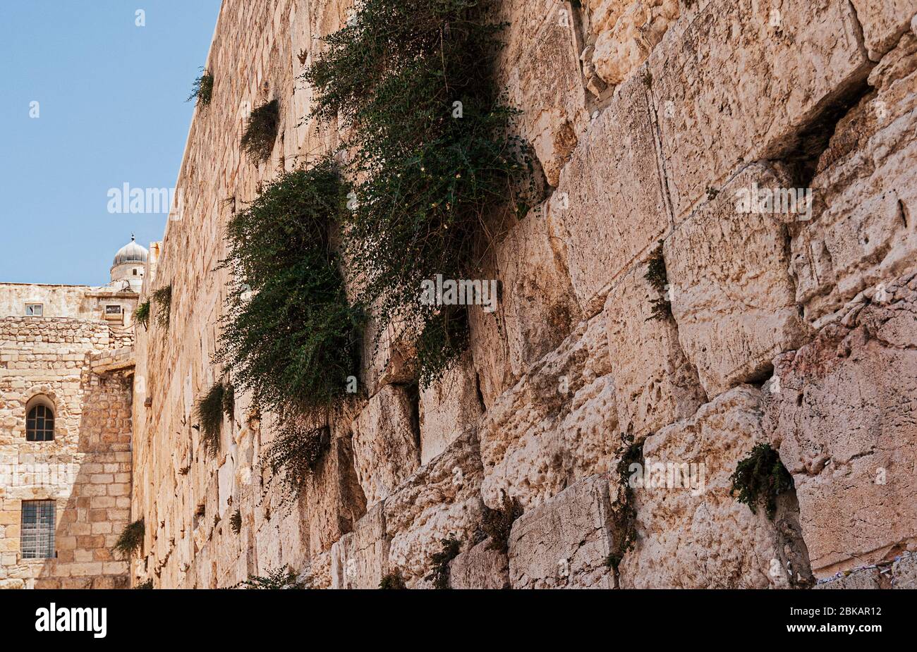 detailed closeup of part of the ancient second temple western wall ...