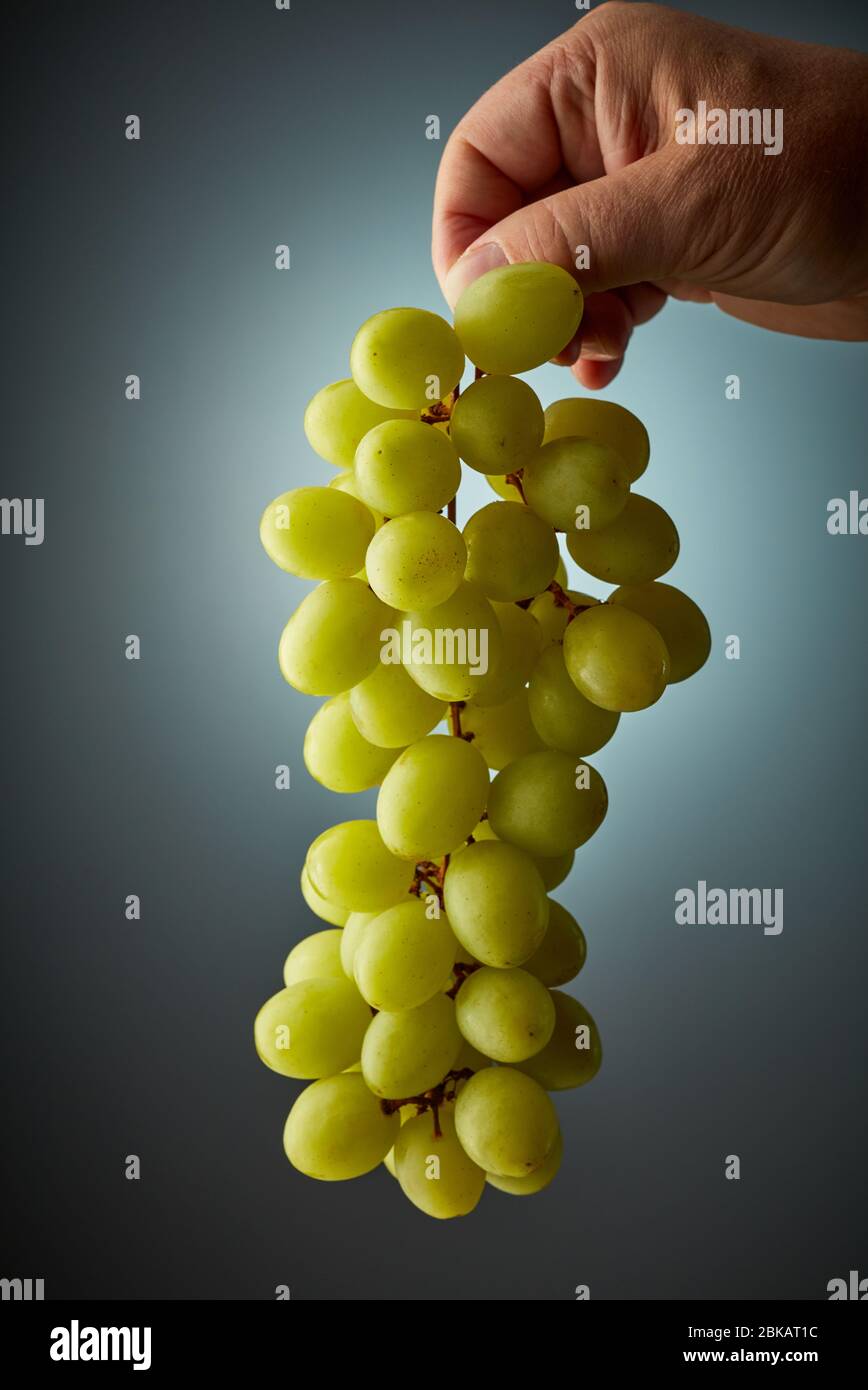 Human grapevine hi-res stock photography and images - Alamy