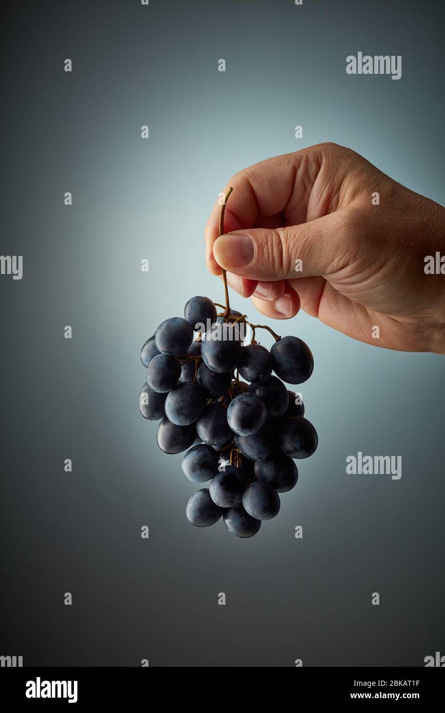 Human grapevine hi-res stock photography and images - Alamy