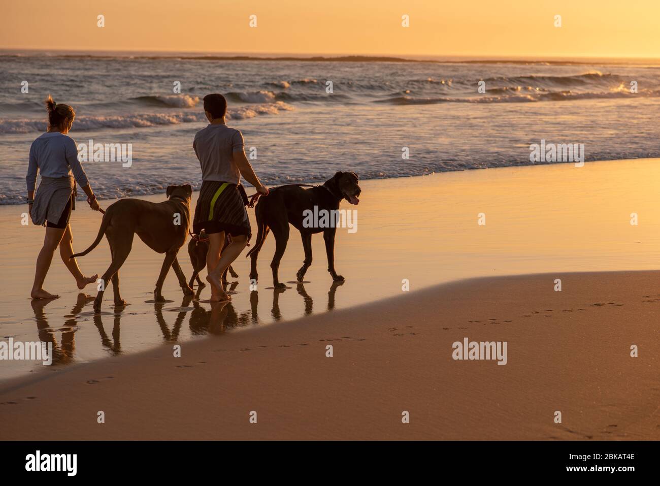 Couple walking side by side along beach hi-res stock photography and ...