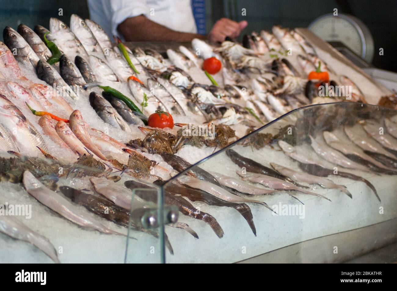 Fresh fish from The Mediterranean Sea on display Stock Photo - Alamy