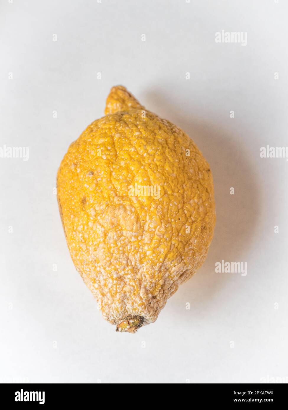 Rotten lemon on white background Stock Photo - Alamy