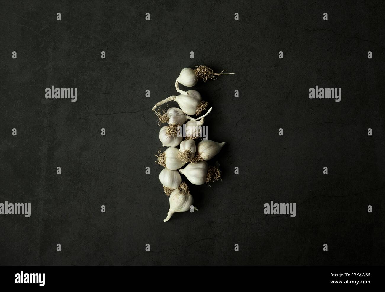 White garlic bulbs. Middle size fresh and tasty garlic on black ...