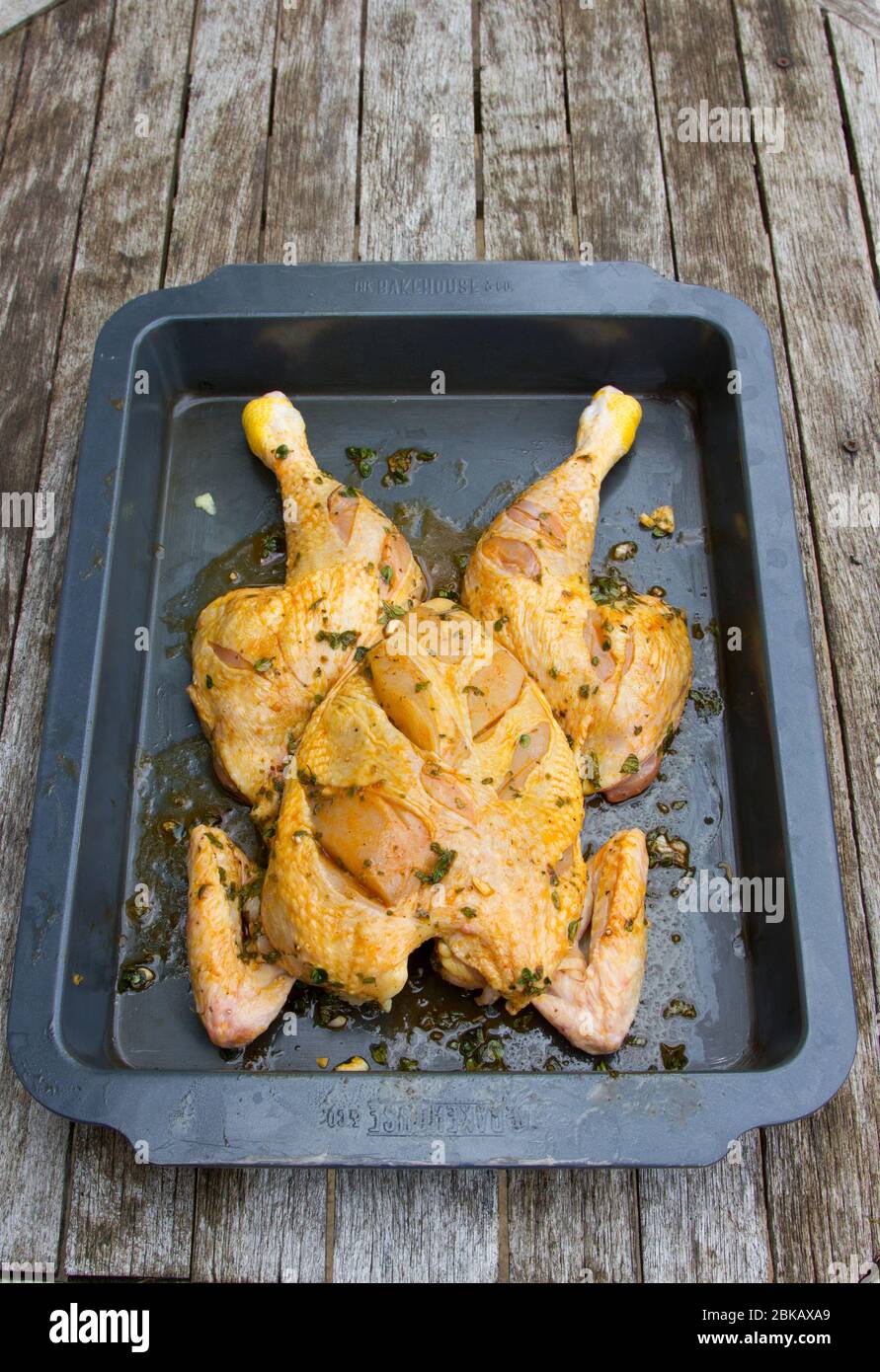 Chicken looking down hi-res stock photography and images - Alamy