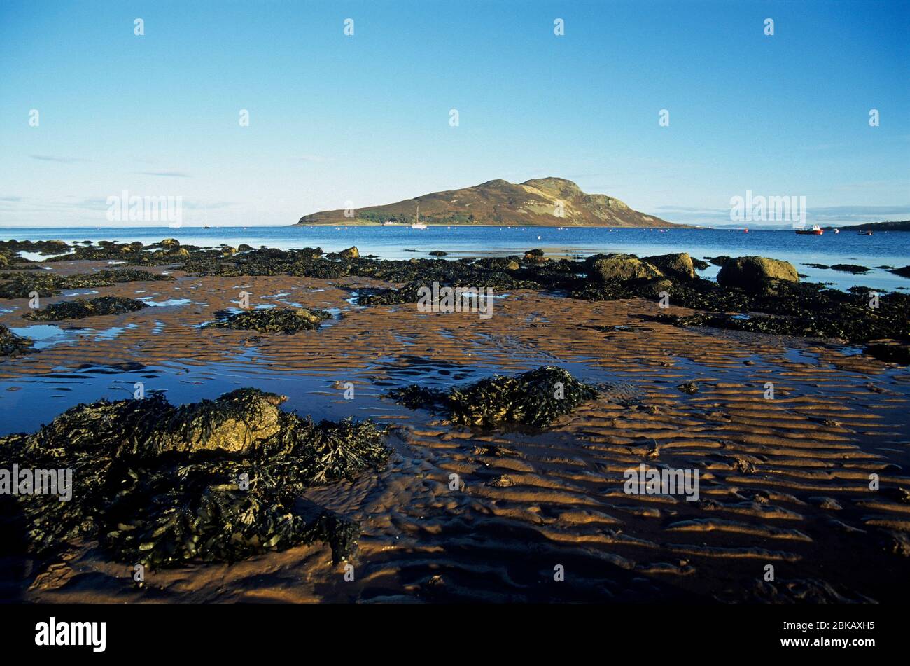 Holy island beach hi-res stock photography and images - Alamy