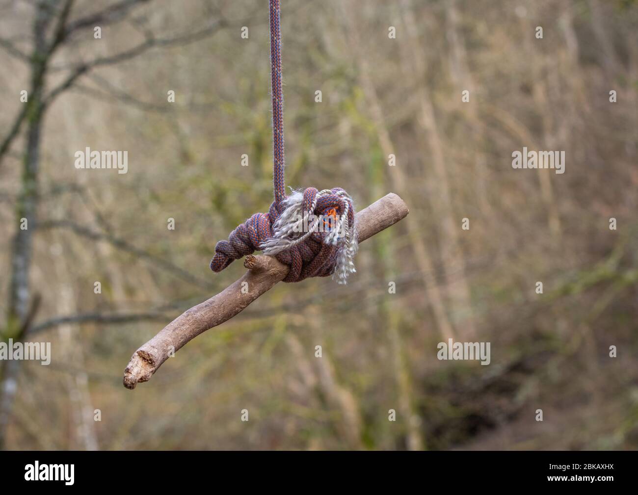 Rope swing hanging from tree hi-res stock photography and images - Alamy