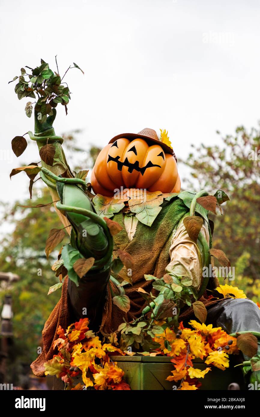 Pumpkin head decoration during Halloween Stock Photo - Alamy