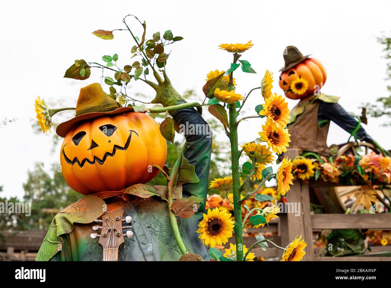 Pumpkin head decoration during Halloween Stock Photo - Alamy