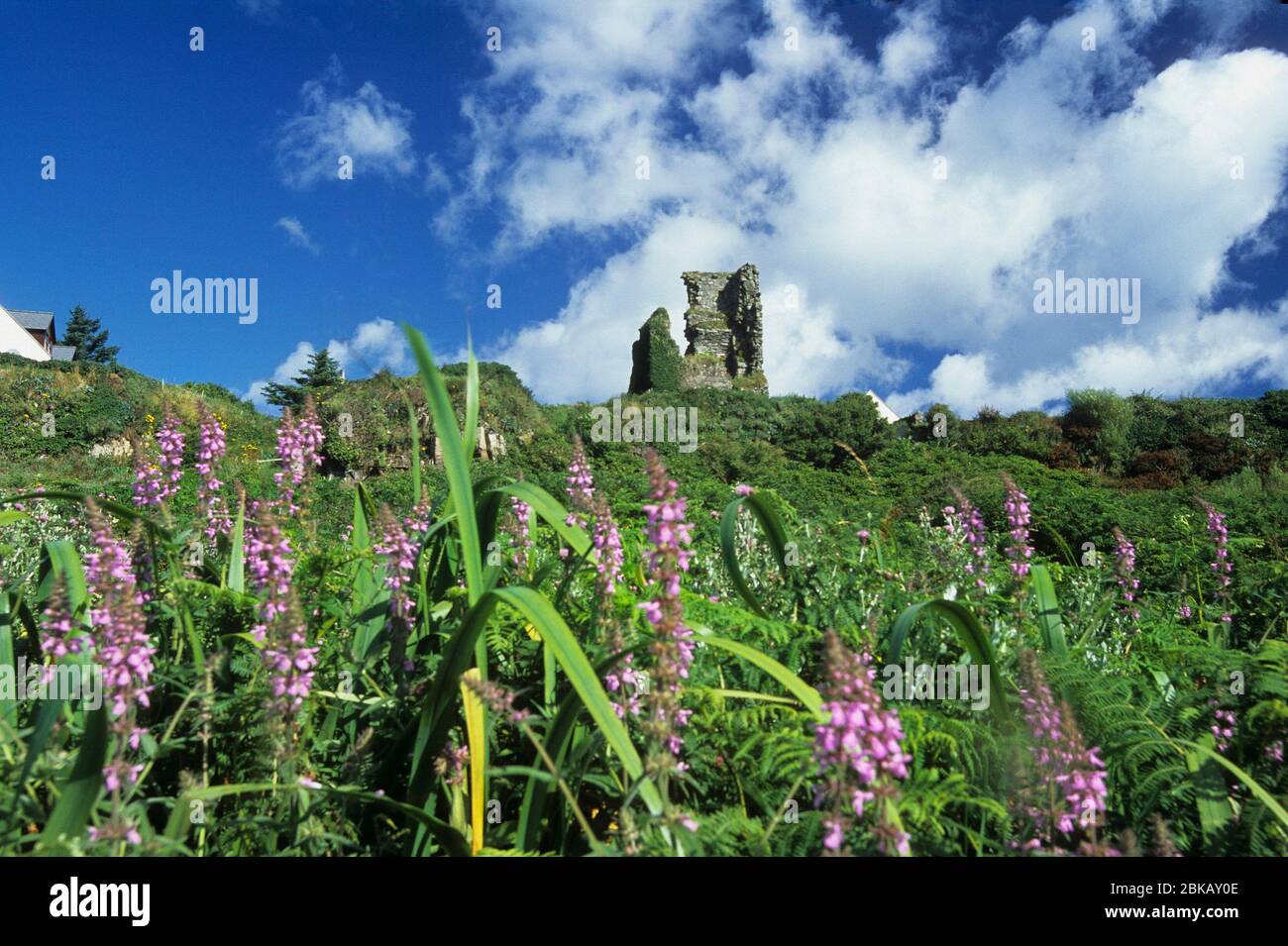 Kildonan castle hi-res stock photography and images - Alamy