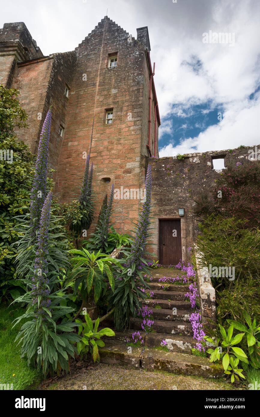 Brodick castle scotland hi-res stock photography and images - Alamy