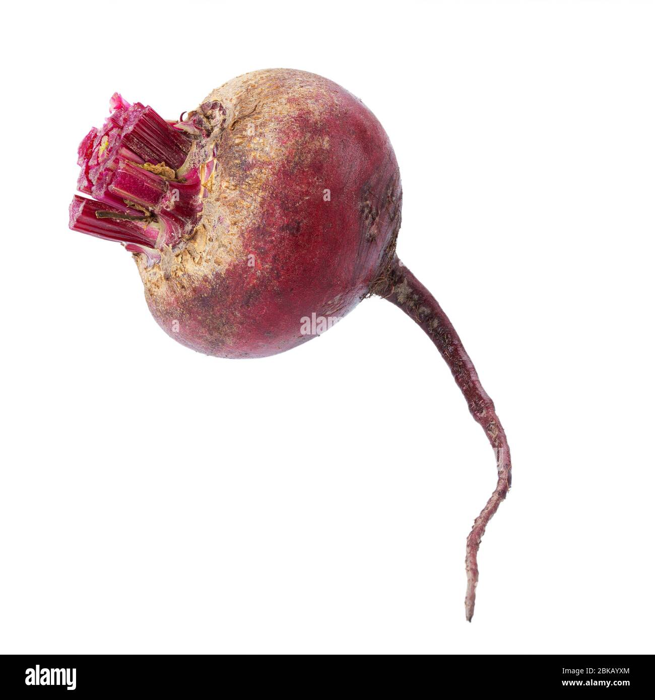 Red beet root isolated on white background. File contains clipping path ...