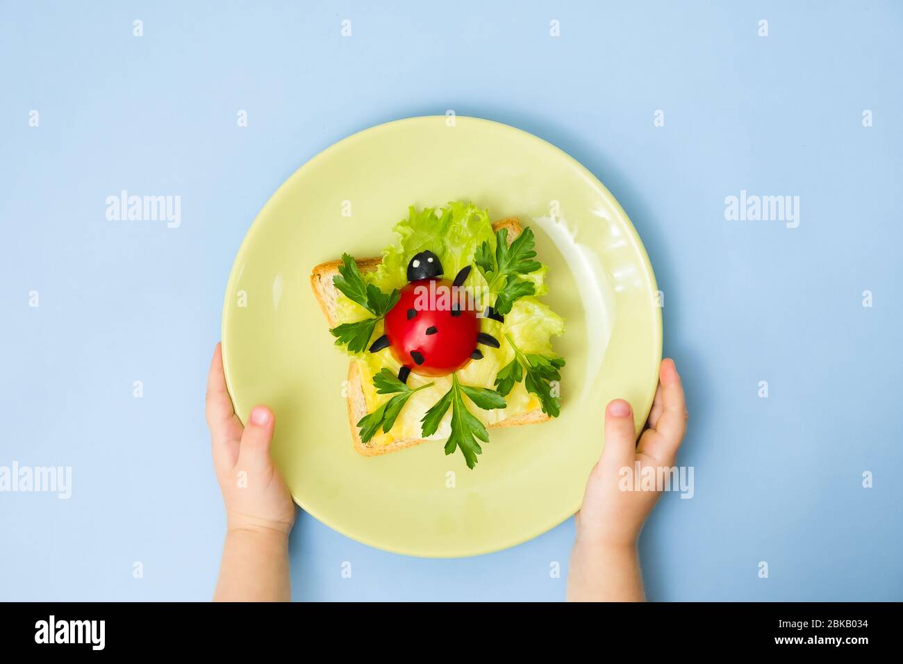 Fun food art for kids. Children's hands hold plate with ladybug ...