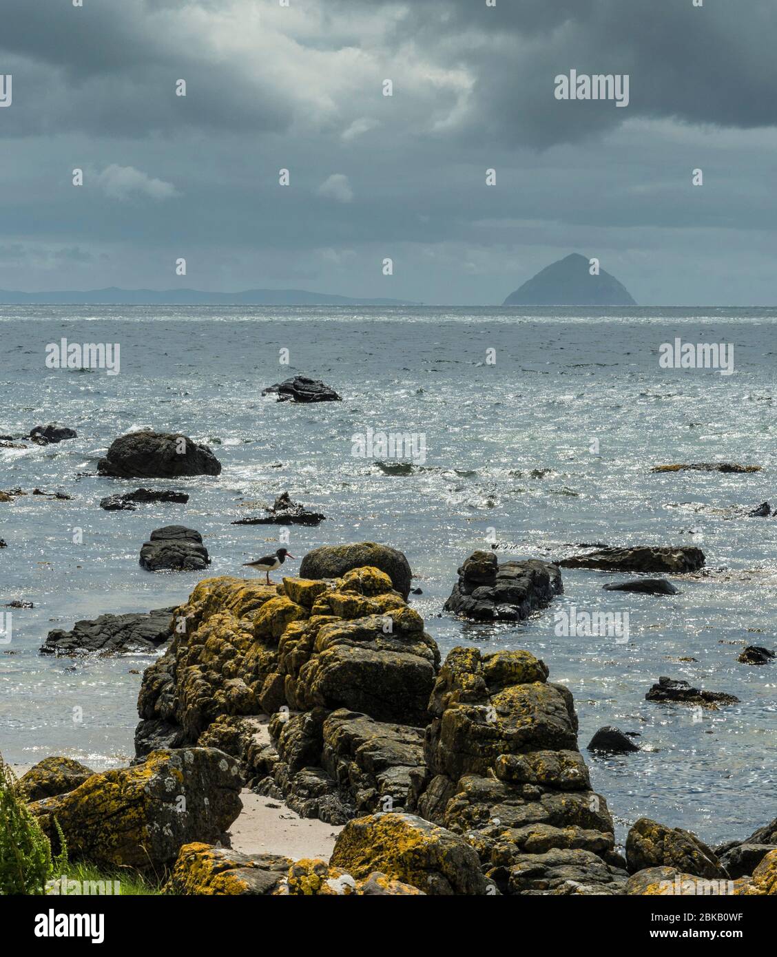 Ailsa craig island hi-res stock photography and images - Alamy