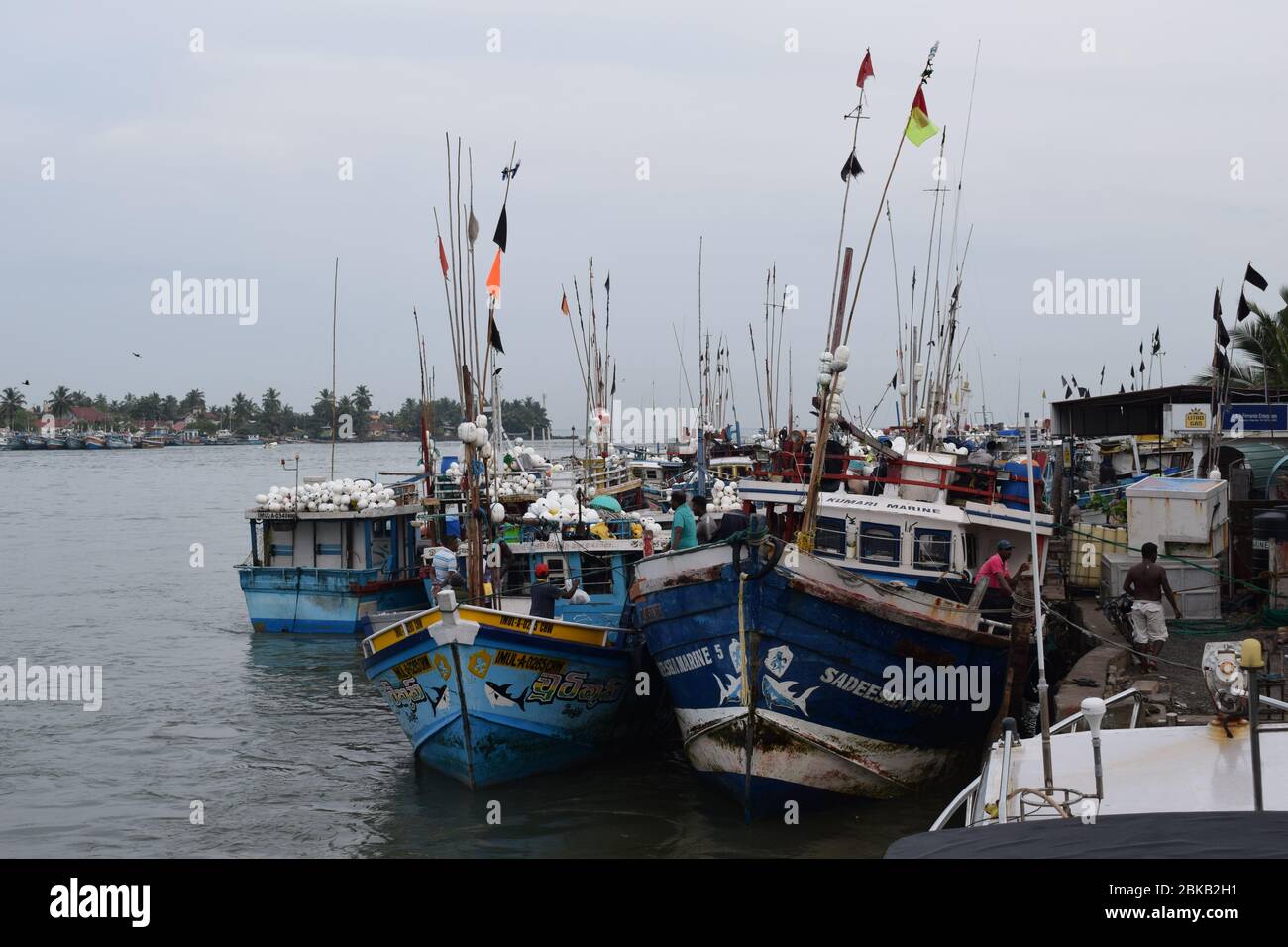Negombo, Sri Lanka Fish Harbour. Negambo is famous Tourist city closure ...
