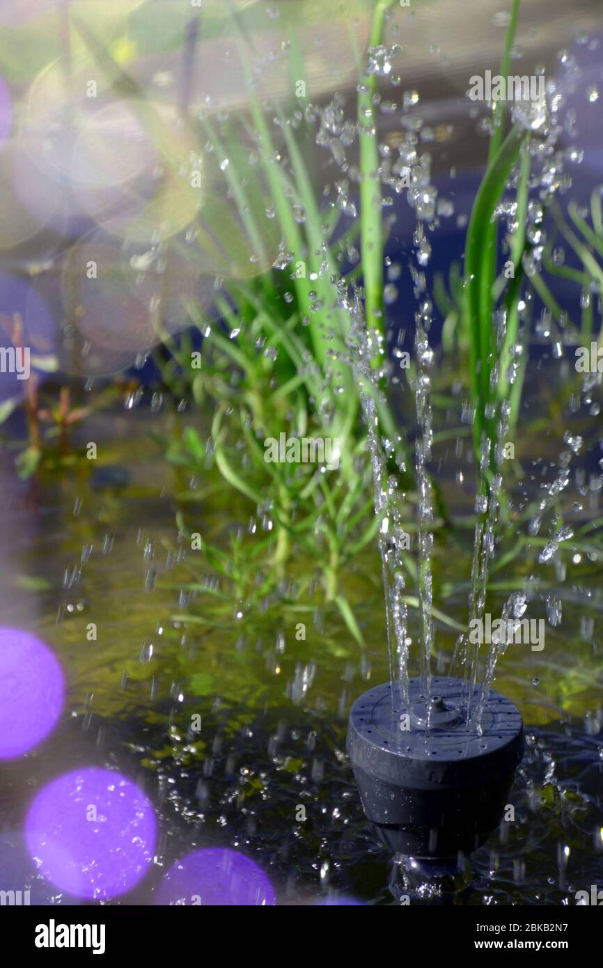 splashing water from jets in a fountain of a garden pond with colorful ...