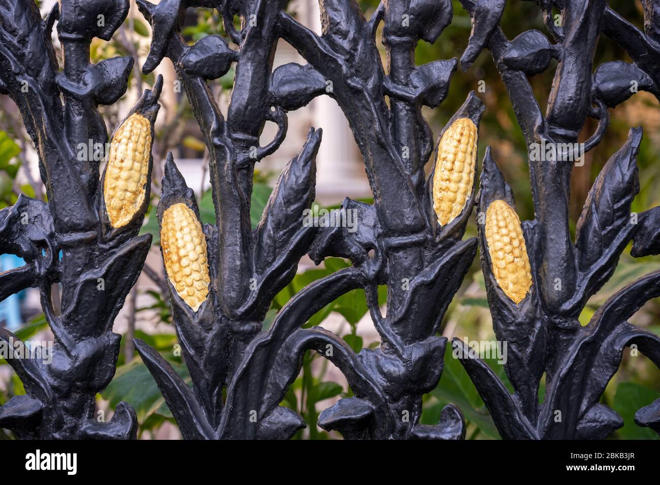Corn Details On Wrought Iron Fence close up Stock Photo - Alamy
