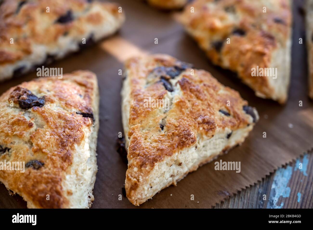 Crispy Brown Texture on Chocolate Chip Scone on parchment paper Stock ...