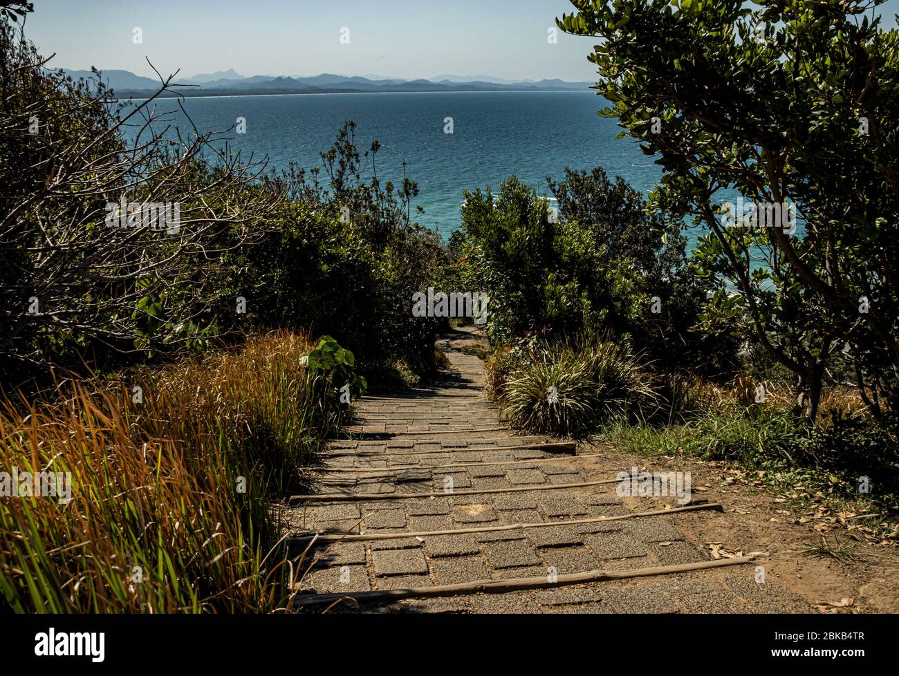 Overgrown Steps High Resolution Stock Photography and Images - Alamy