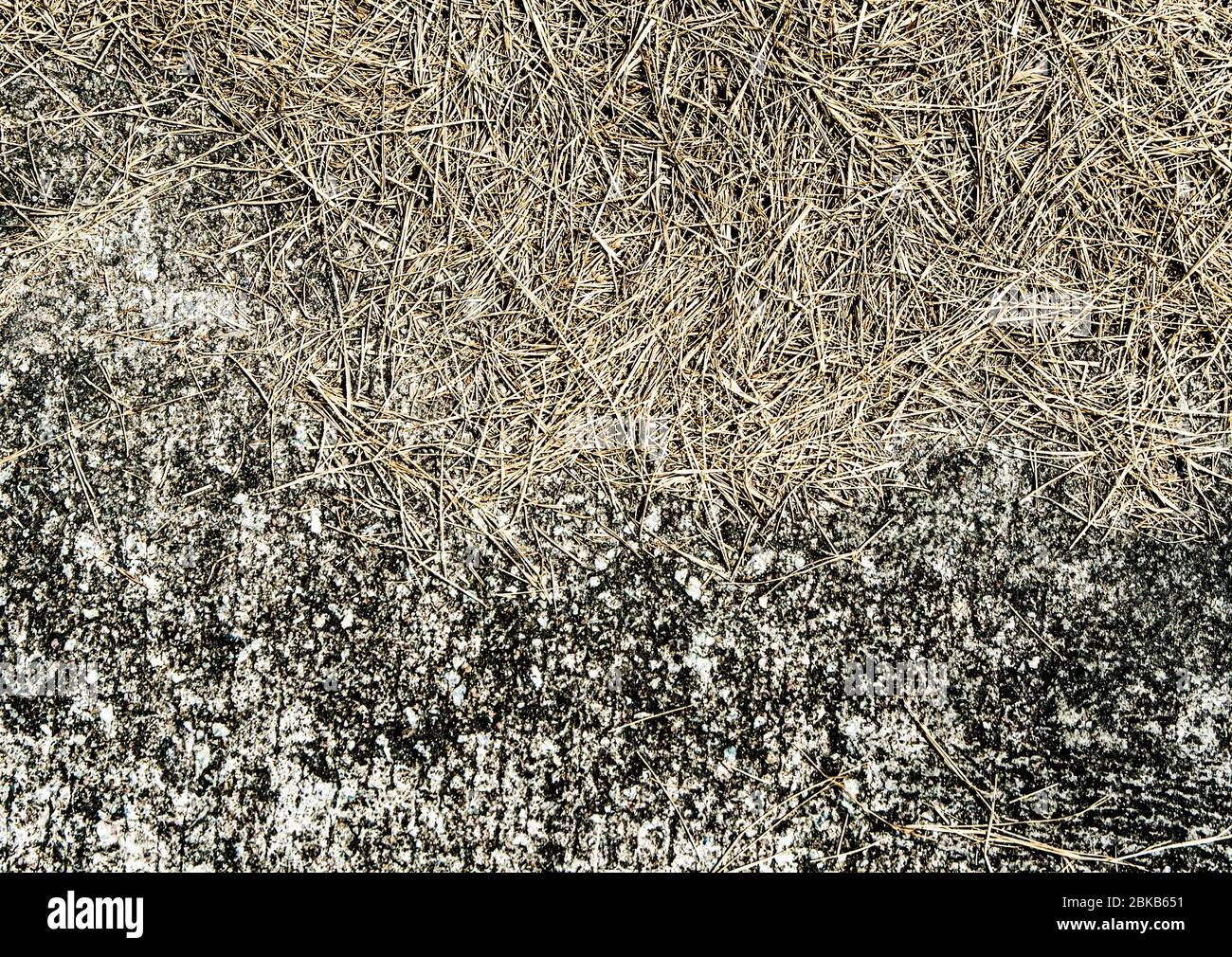 Many dried straws are scattered on concrete floors Stock Photo - Alamy