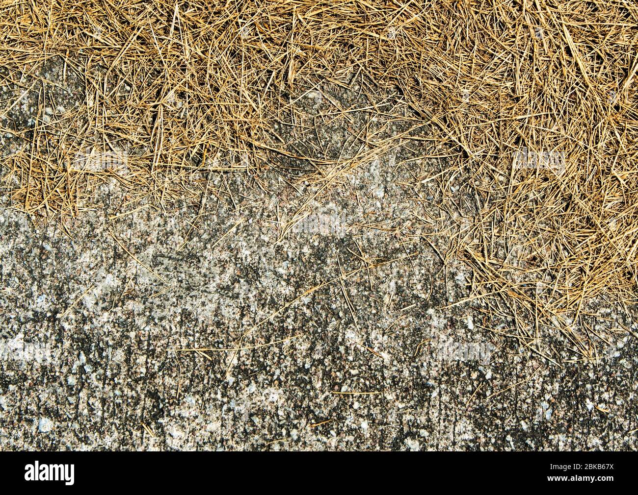 Concrete floors and outdoors hi-res stock photography and images - Alamy