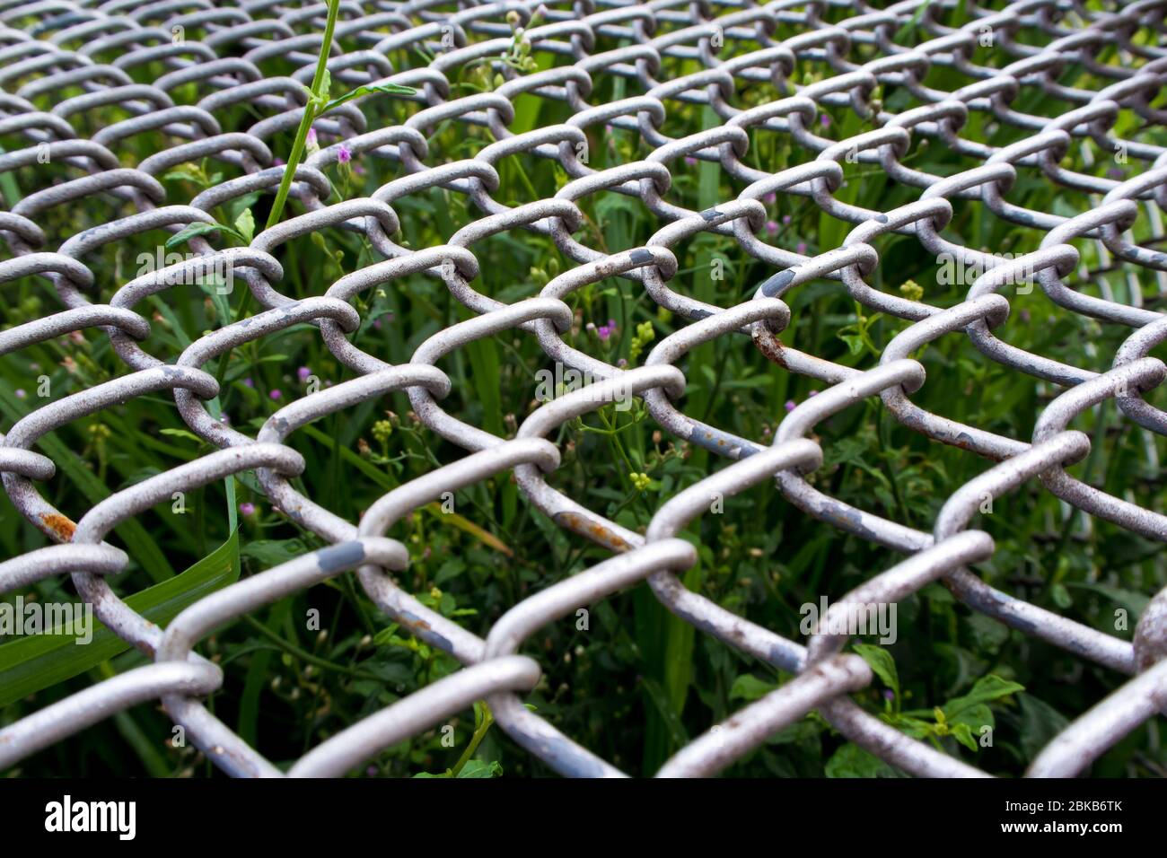 Overgrown grass underneath the steel grating Stock Photo - Alamy