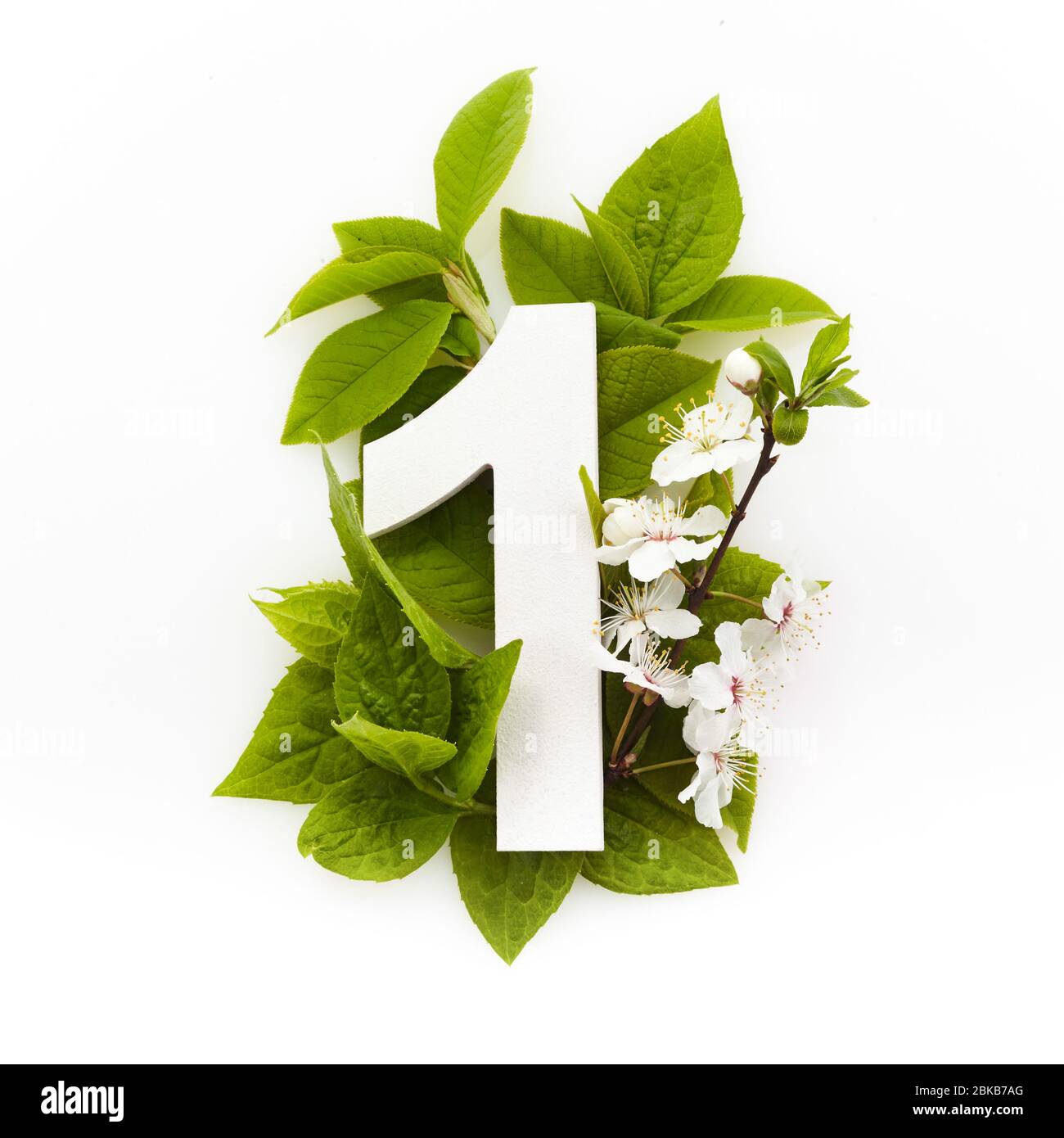 Number one with green leaves. Minimal summer concept. Flat lay Stock ...