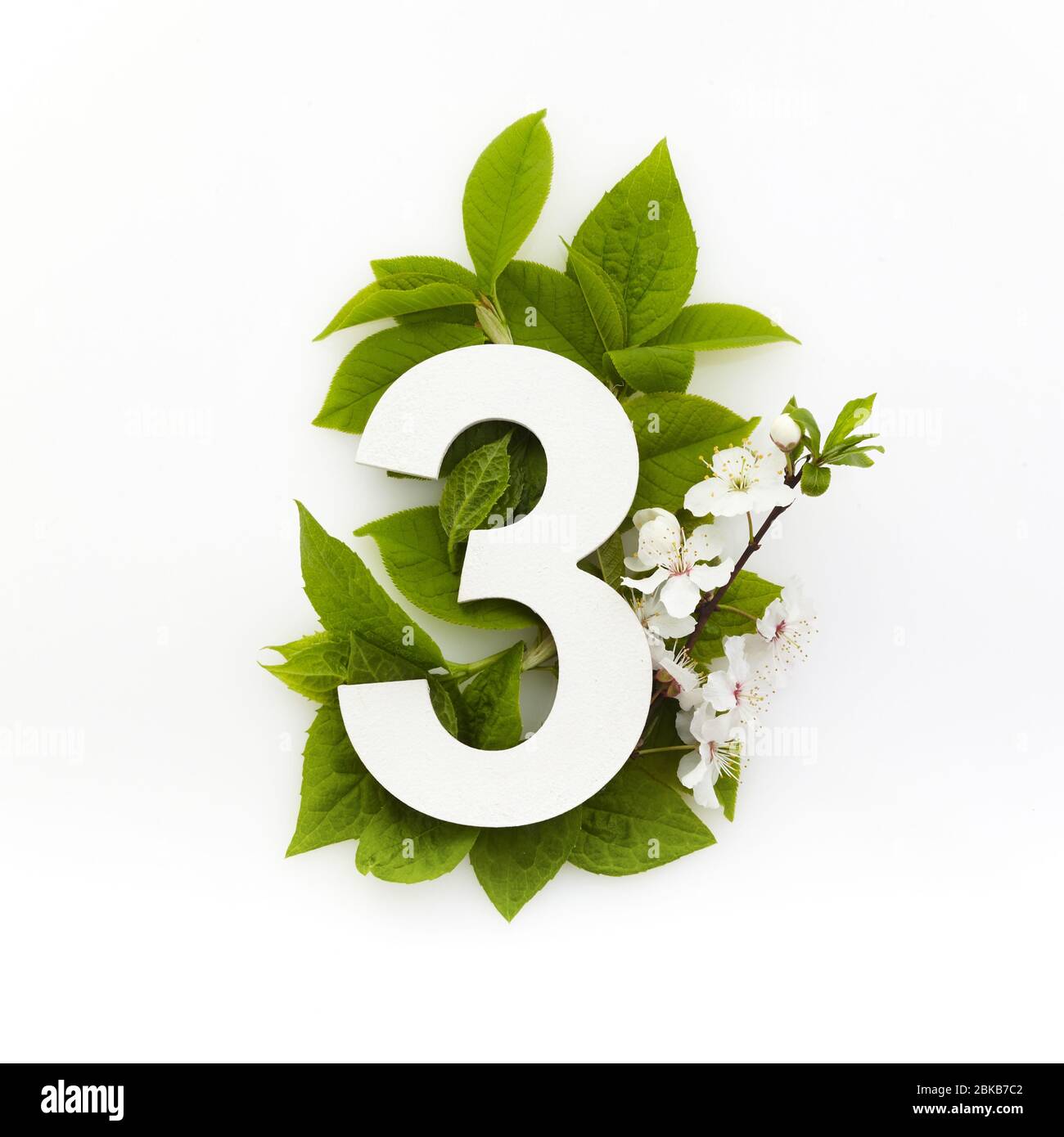 Number three with green leaves. Minimal summer concept. Flat lay Stock ...