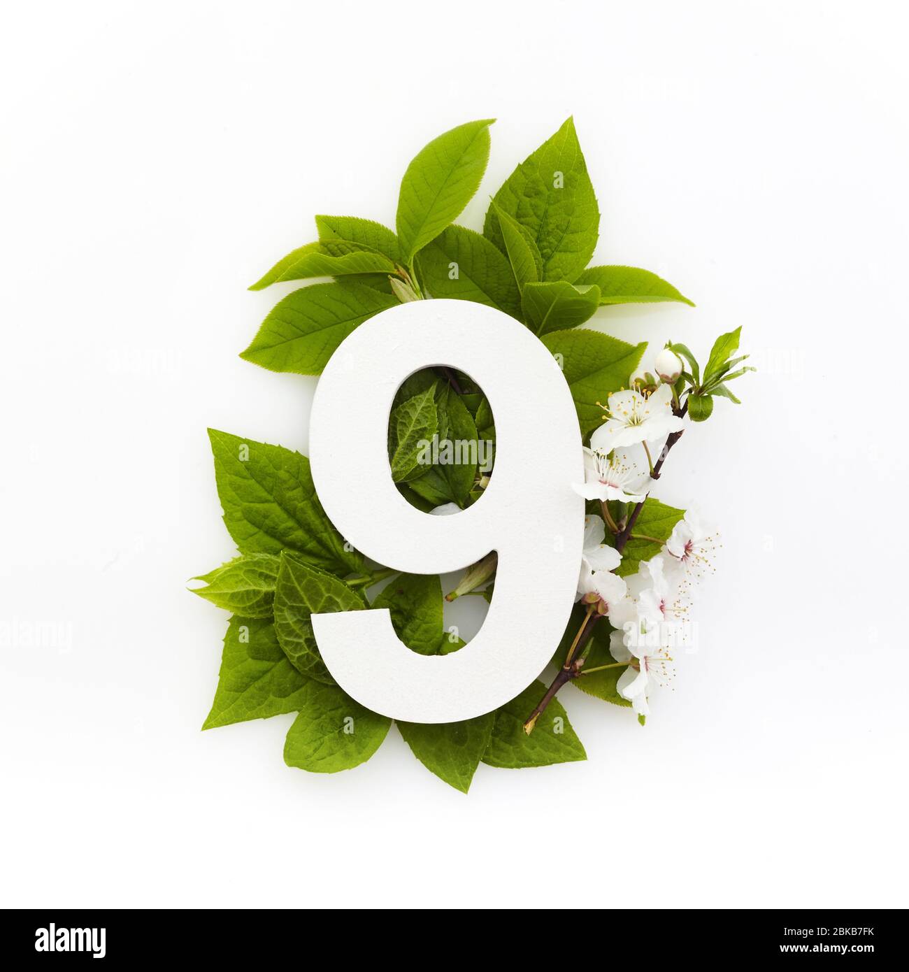 Number nine with green leaves. Minimal summer concept. Flat lay Stock ...