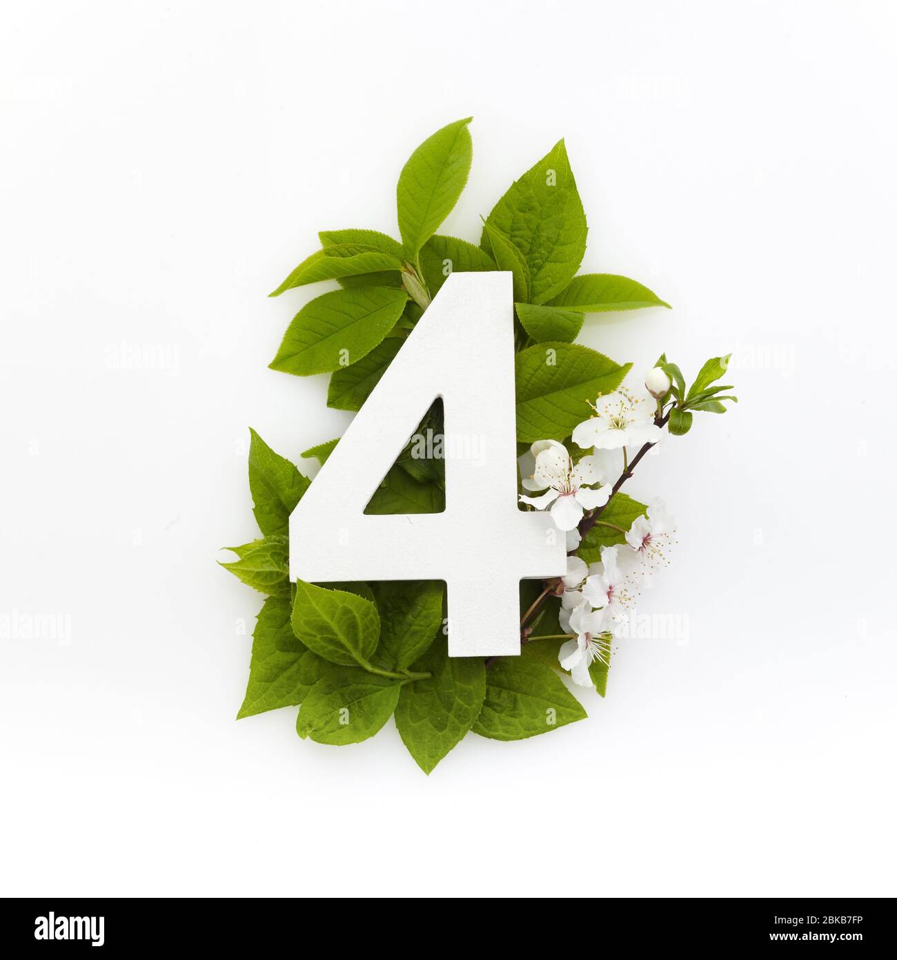 Greenery alphabet hi-res stock photography and images - Alamy