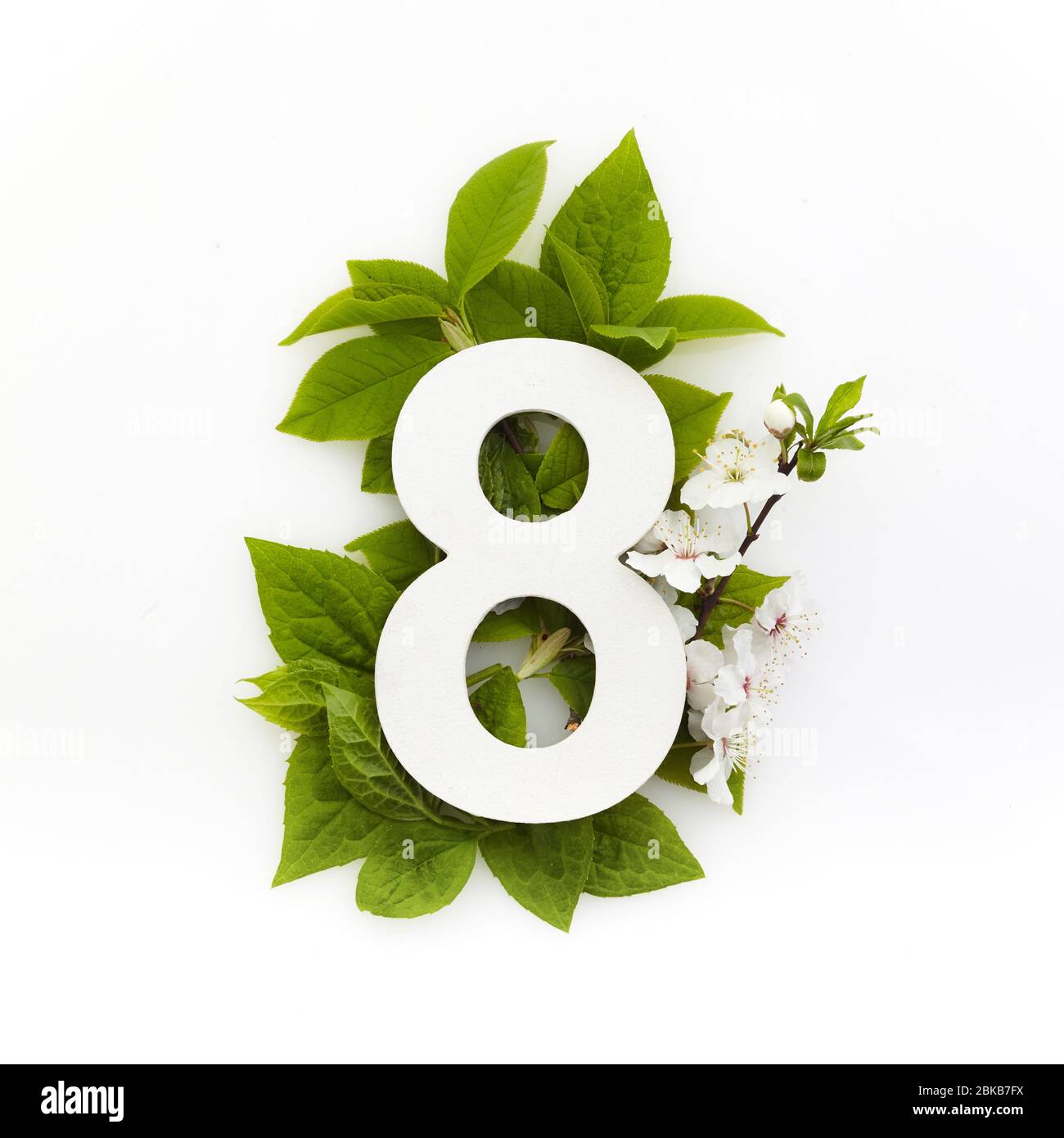 Number eight with green leaves. Minimal summer concept. Flat lay Stock ...