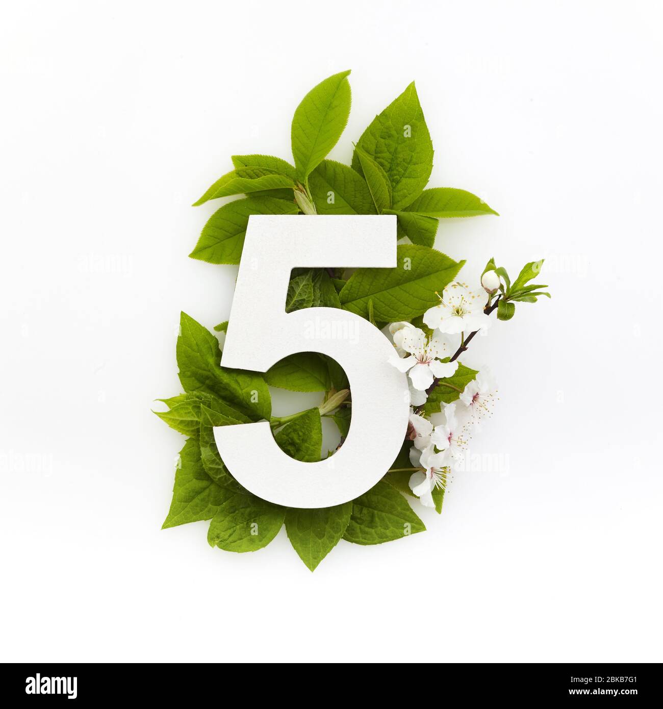 Greenery alphabet hi-res stock photography and images - Alamy