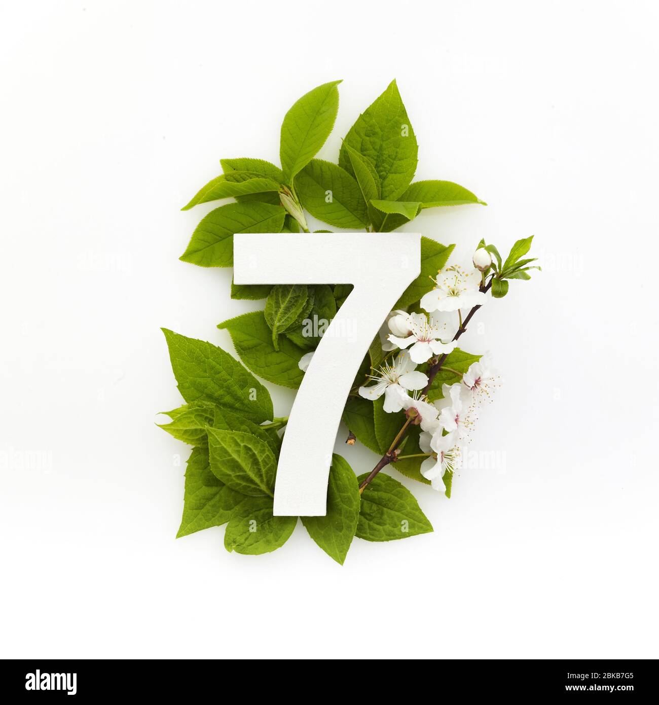 Number seven with green leaves. Minimal summer concept. Flat lay Stock ...
