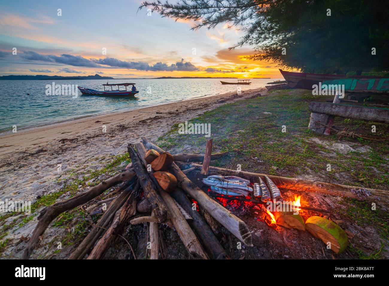 Fish bbq on tropical desert beach. Cooking barbecue with wood fire at ...