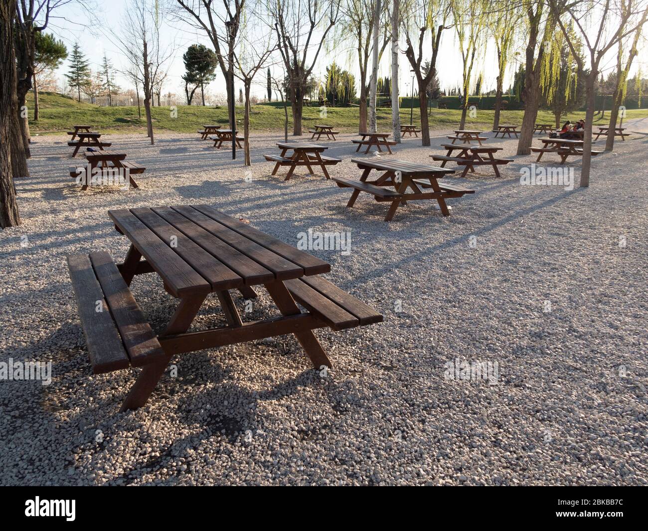 Rows of empty wooden picnic tables at a park Stock Photo - Alamy