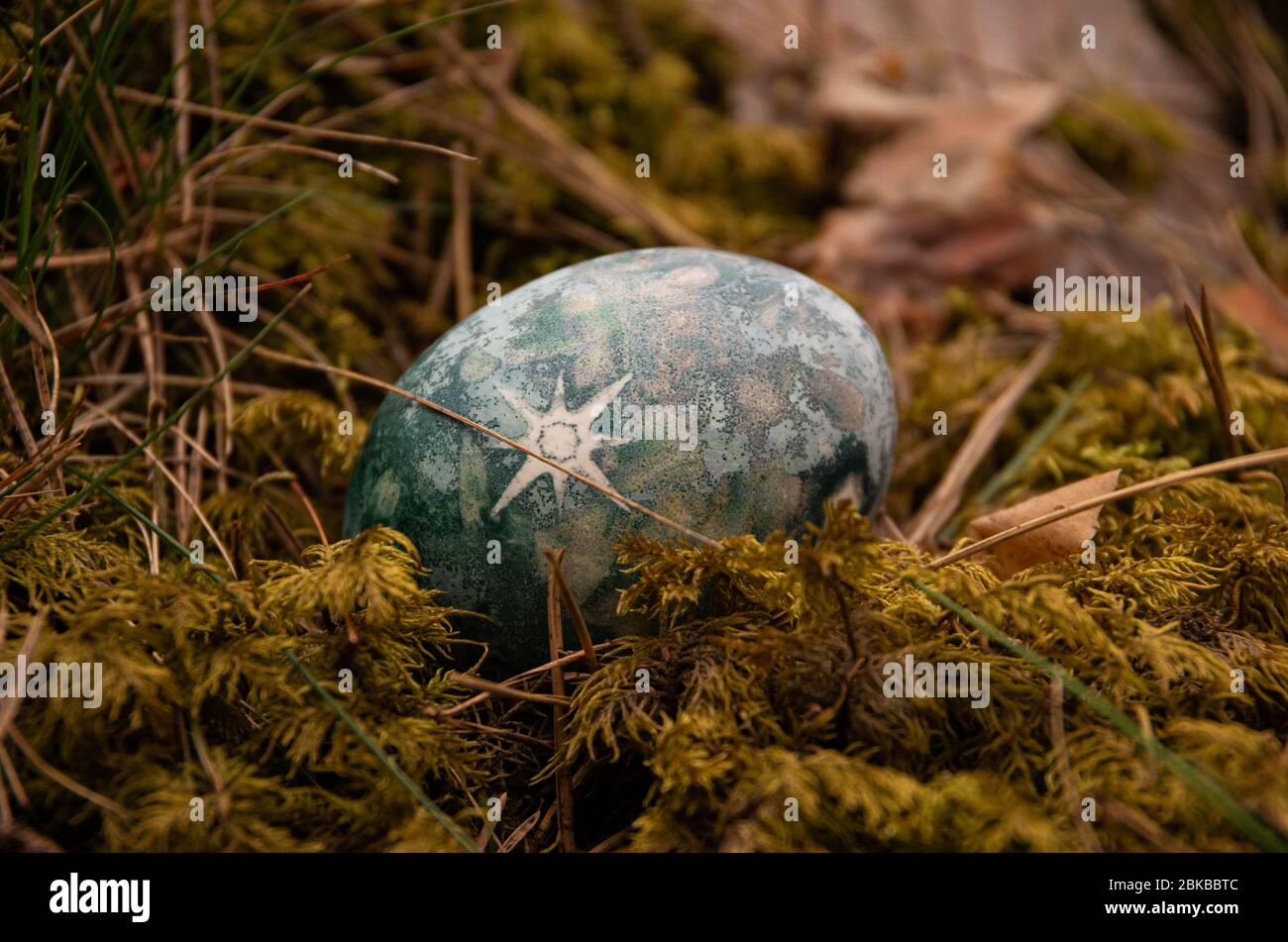 Easter painted blue egg with star on moss, food Stock Photo - Alamy